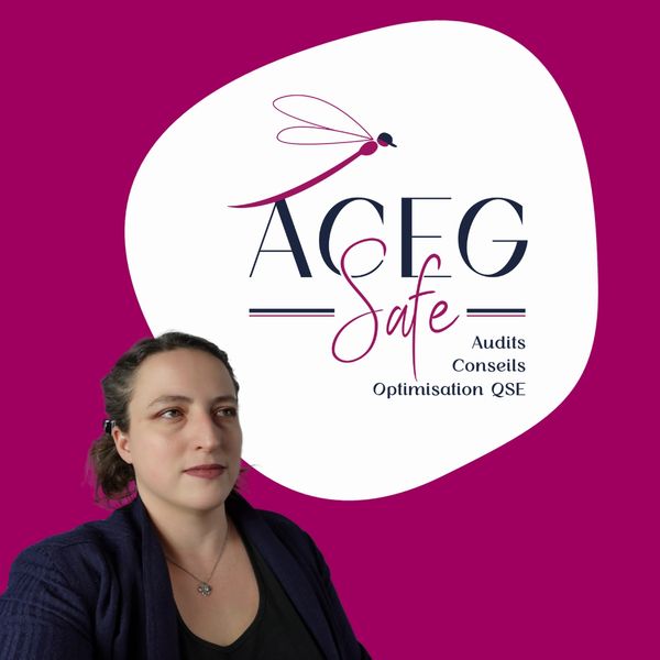 Accompagnement QSE Des TPE-PME, Accompagnement à La Certification ISO 9001-14001-45001 QSE ...